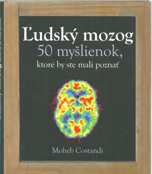 Ľudský mozog-50 myšlienok,ktoré by ste mali poznať | Antiqart